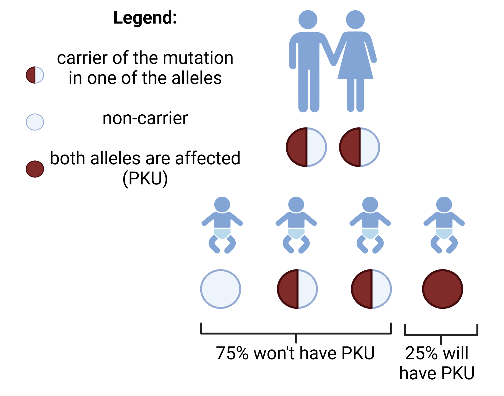 Understanding Phenylketonuria: Genetics and Health Impact – Scientific ...